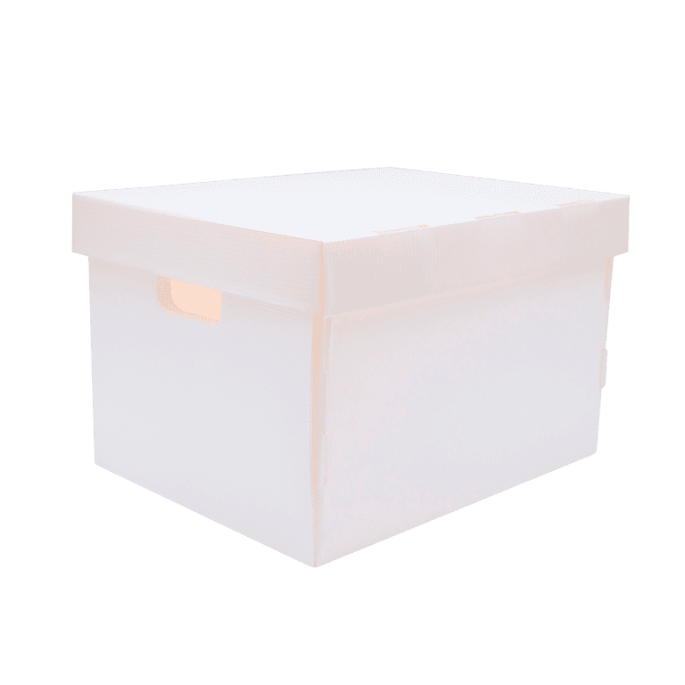 Productos – Kartonplast de Guatemala, S.A.