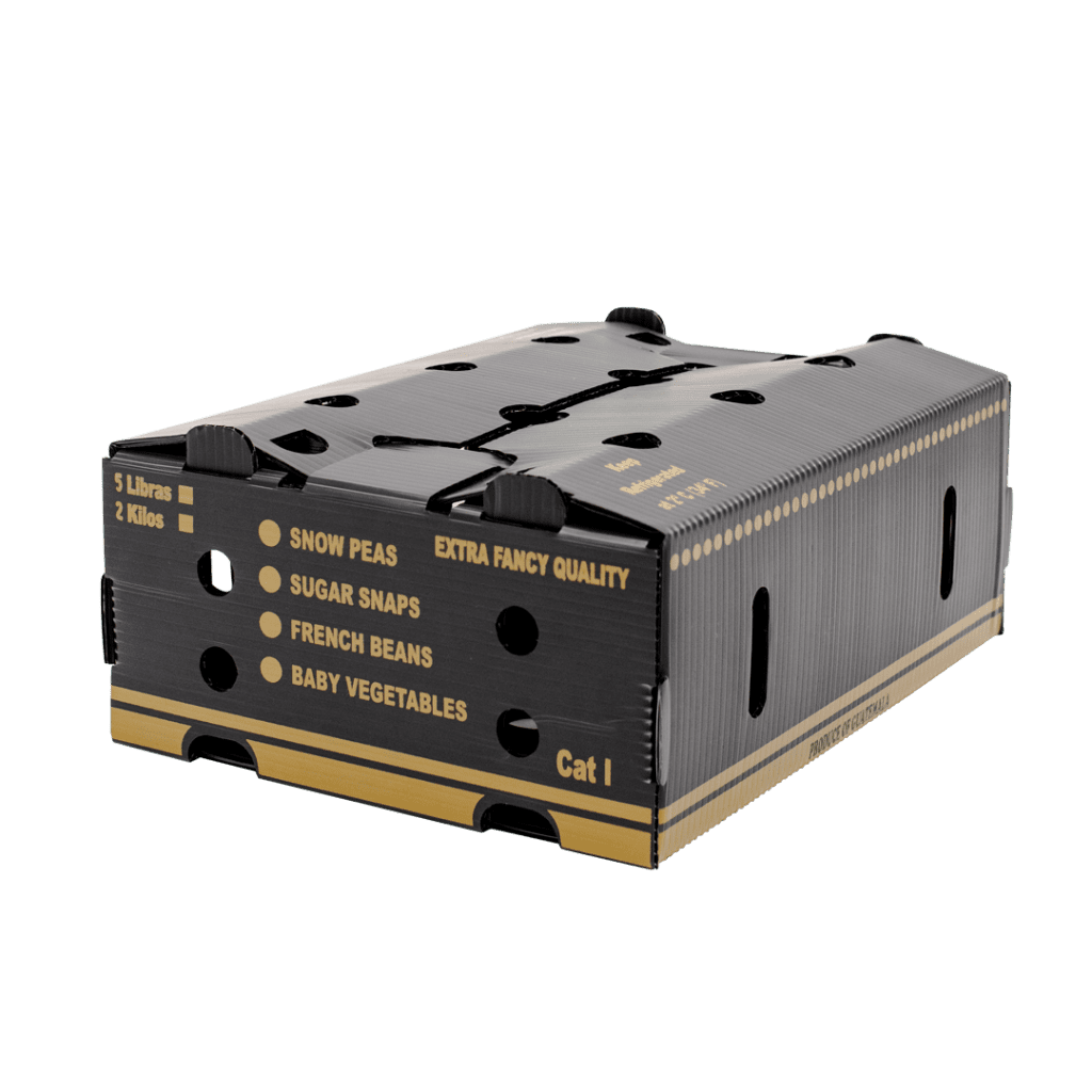 Caja De 5 Libras Kartonplast De Guatemala S A caja-de-5-libras-kartonplast-de-guatemala-s-a