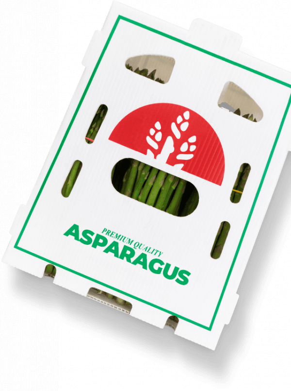 Kartonplast de Guatemala, S.A. – Un solo compromiso con el Medio Ambiente